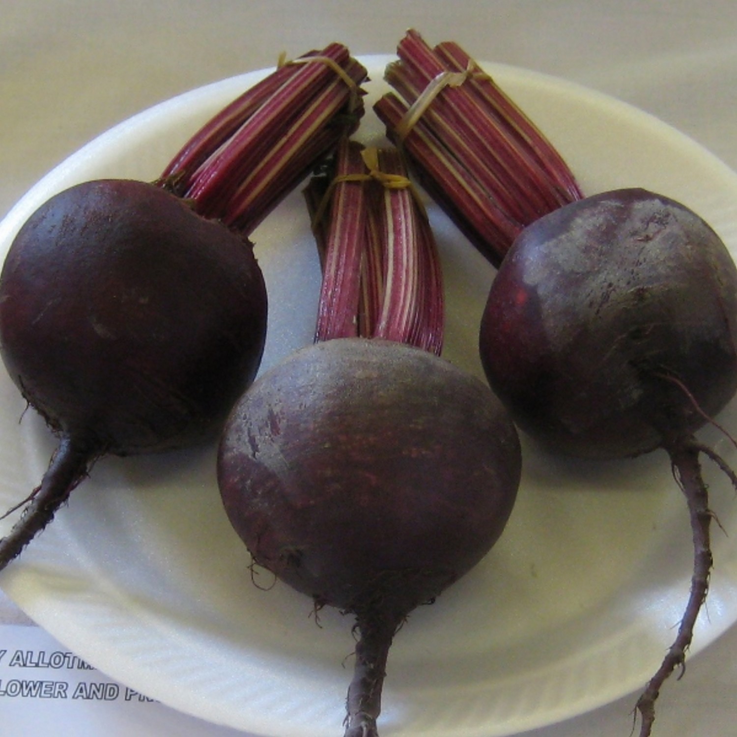 Kings Beetroot Red Ace F1 Seeds - Groves Nurseries & Garden Centre