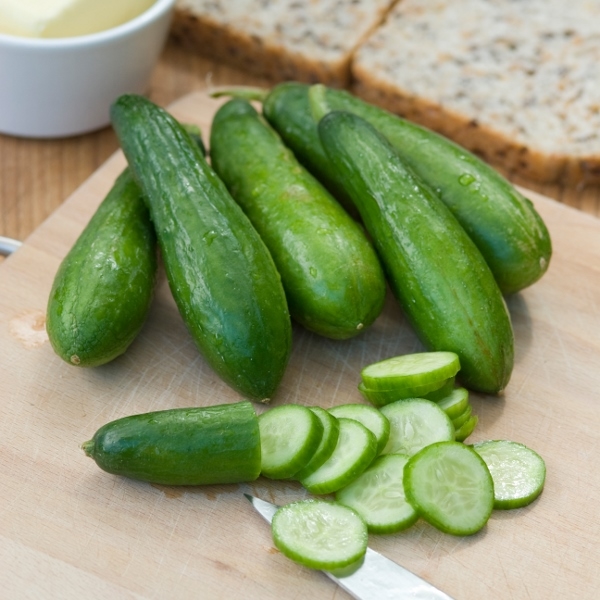 Kings Cucumber Mini Munch F1 Seeds - Groves Nurseries & Garden Centre