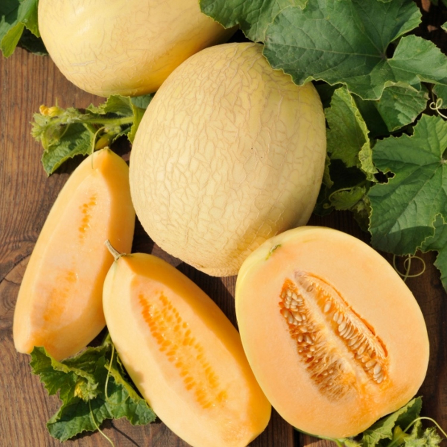 Melon Emir F1 Rhs Agm - Groves Nurseries & Garden Centre