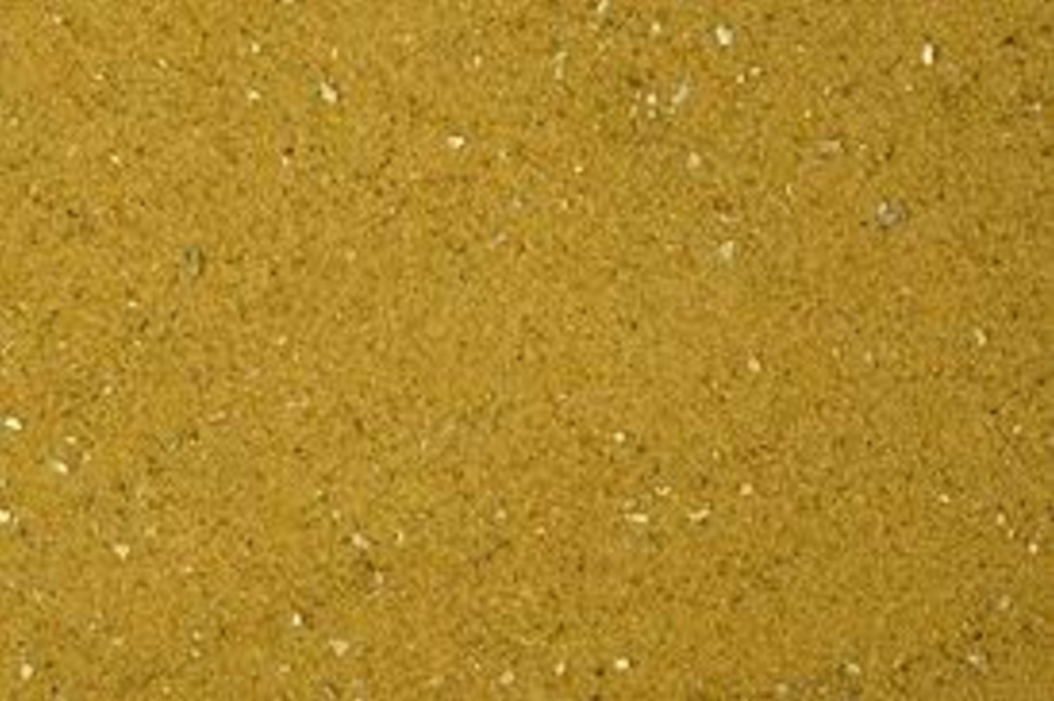 Bird Sand Loose price per KG - Groves Nurseries & Garden Centre