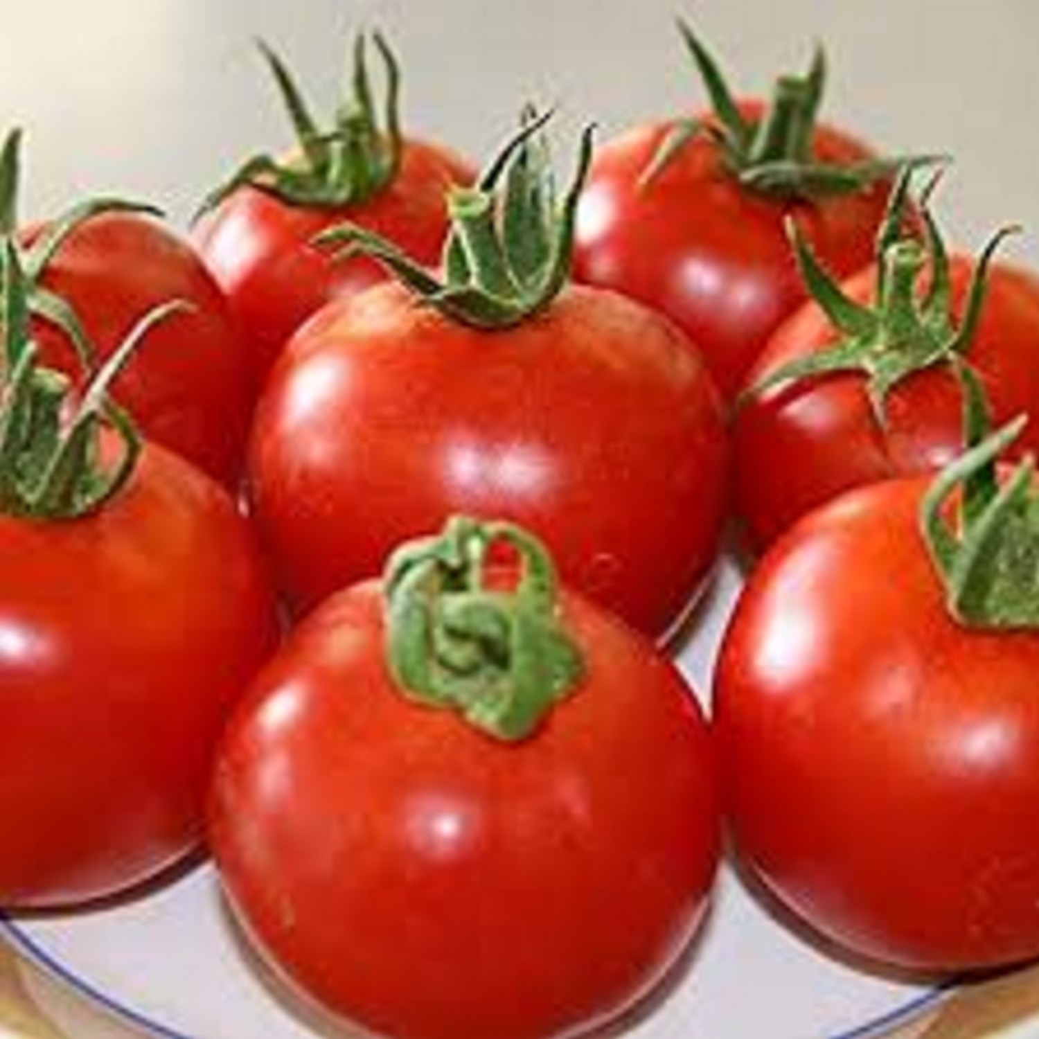 Tomato Orkado - Groves Nurseries & Garden Centre