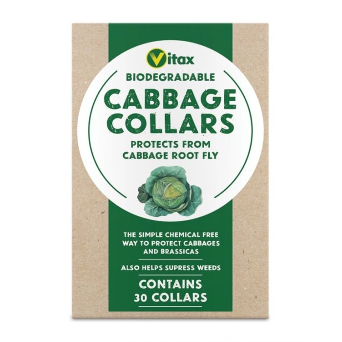 Vitax cabbage collars - Groves Nurseries & Garden Centre